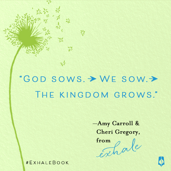 Exhale | by Amy Carroll & Cheri Gregory